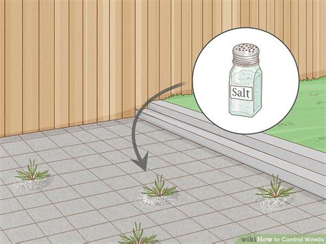 Ways To Control Weeds WikiHow Life