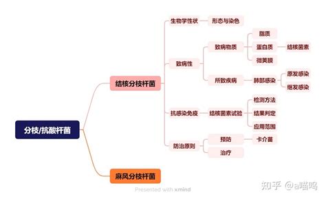 思维导图2：医学免疫学与病原生物学 知乎