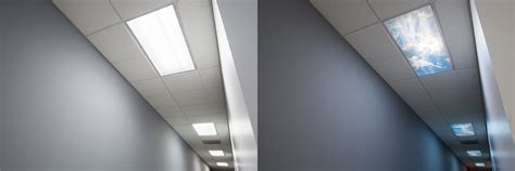 Best Light Diffuser At Walter Shreve Blog