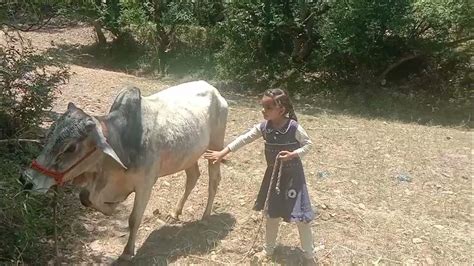 کونین شفاعت Youtube