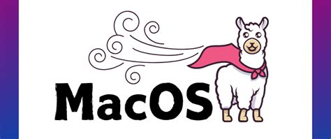 Build A Simple Shopping List App With Javascript Dev Community