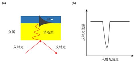 基于表面等离子共振技术分析蛋白之间结合活性的方法开发策略 Method Development Strategies For Analysis Of Binding Activity