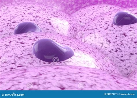 Testicular Cancer Cells In The Testicle Cortex Closeup View 3d