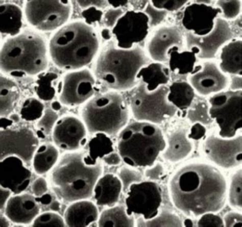 Molecular View Of Foamed Ceramic Download Scientific Diagram