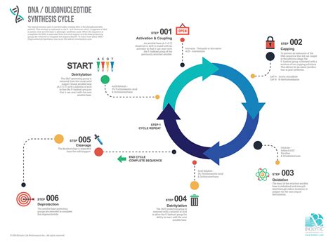 Introduction To Oligo Oligonucleotide Dna Synthesis