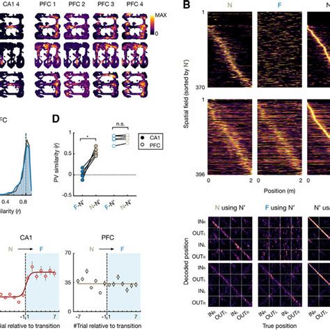hippocampus shows global remapping whereas prefrontal spatial