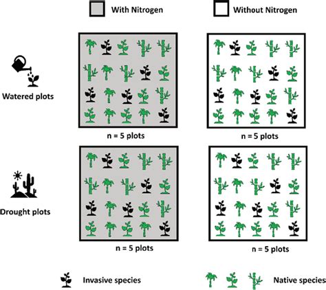 Scheme Of The Experimental Design A Total Of 20 Plots Were Cultivated Download Scientific