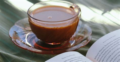 개인적인 시간 고요한 공부하다 내성 녹색 독서 시간 독서하는 따뜻한 음료 따뜻함 레저 마음가짐 모카 문학 부드러운 브런치 술을 마시다 아늑한