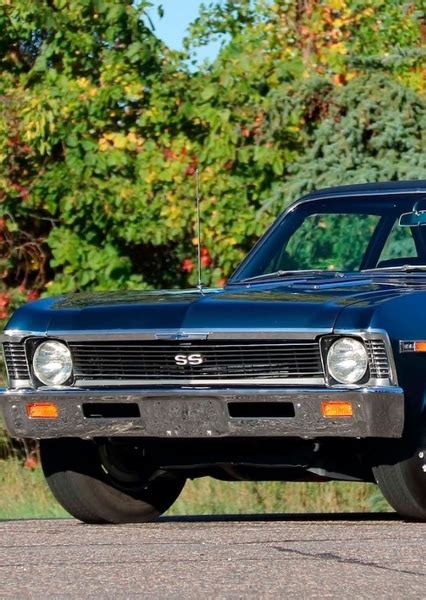 Chevrolet Nova Ss Fan Casting