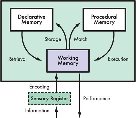 Human Memory Diagram