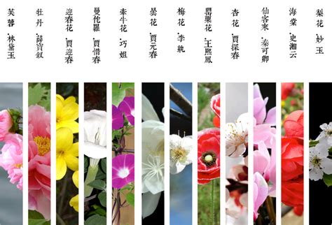 紅樓夢十二金釵