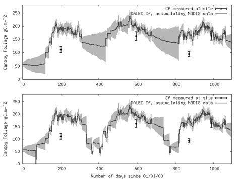Foliar Biomass Predicted With Dalec Assimilating Observations Of Modis Download Scientific