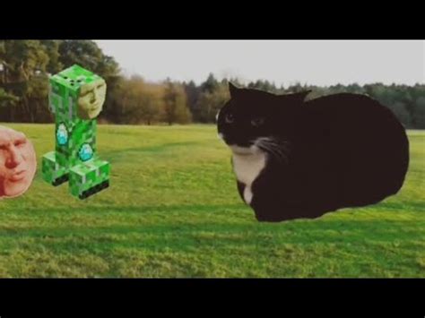 Сигма крипер вместе с сигма свинкой шли по полю - YouTube