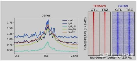 科研人必不可少的chip Seq，尽快收藏 知乎