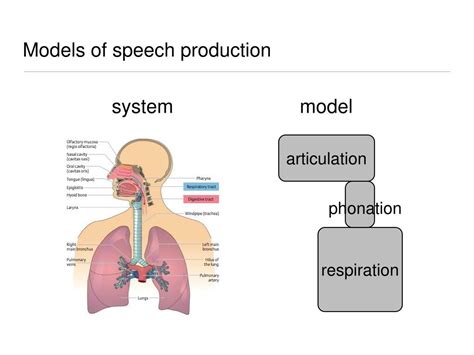 Ppt Oscillogram Powerpoint Presentation Free Download Id 118403