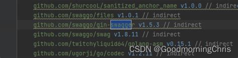 go使用报错：swag 无法将“swag”项识别为 cmdlet、函数、脚本文件或可运行程序的名称 swag 无法将“swag”项识别