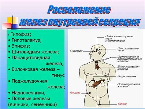 Методы исследования эндокринной системы презентация онлайн