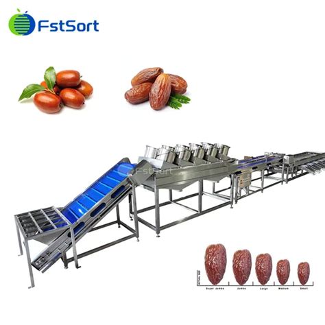Dates Processing Machinery Dates Grading Packing Equipment Jujube