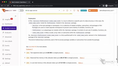 Locate Large Memory Objects Inside Perl Processes Using OpenResty XRay