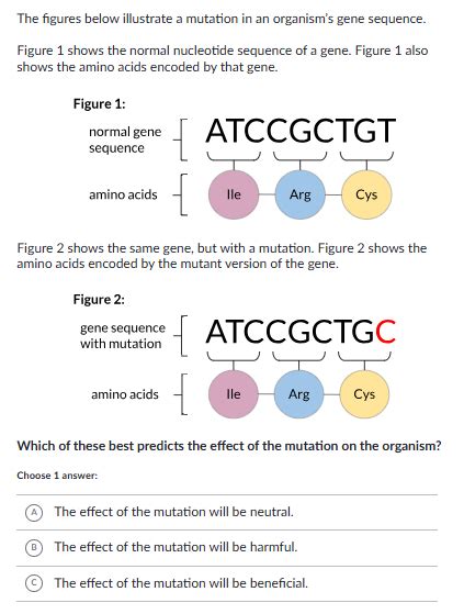 The Figures Below Illustrate A Mutation In Studyx