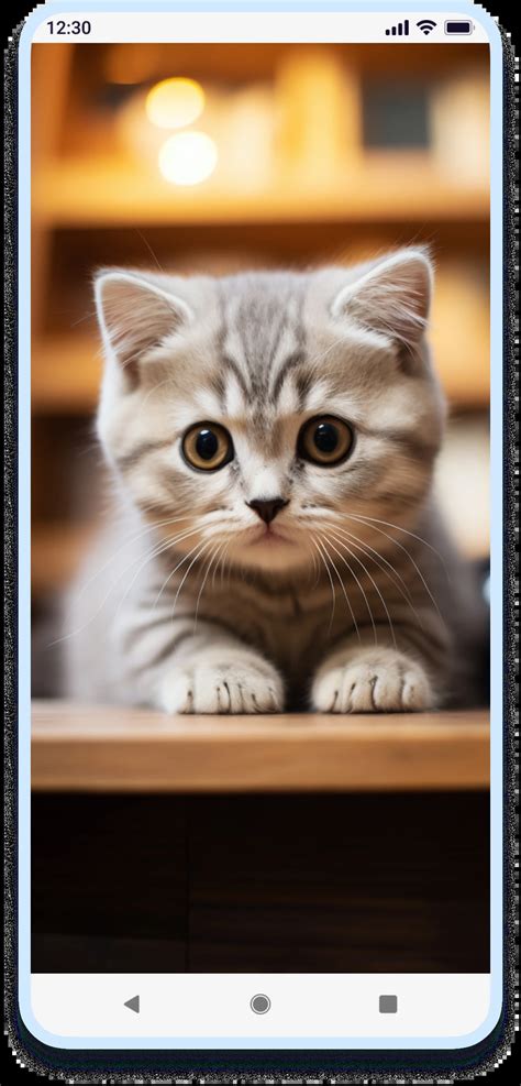 Application De Transfert De Fichiers Android Filemail