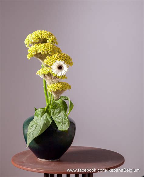 We Wish You A Smiley Sunday Ikebana Ilse Beunen Photography Ben