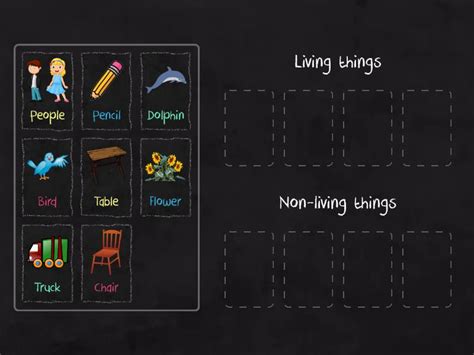 Lets Classify Living And Non Living Things Ordenar Por Grupo