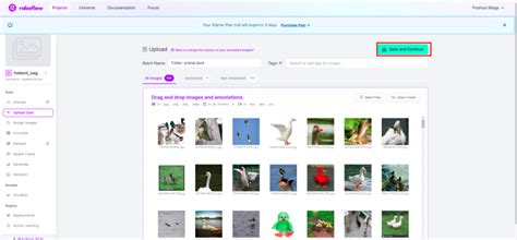 Live Object Detection And Image Segmentation With Yolov8 Analytics Vidhya