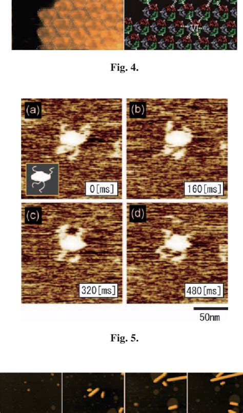 Figure 3 From High Speed Atomic Force Microscopy For Capturing Dynamic Behavior Of Biological
