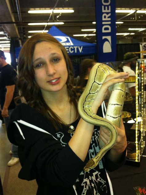 New 50 Dwarf Female Retic