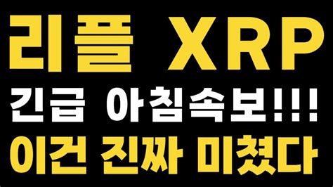 리플 Xrp 엑스알피 긴급 아침속보 이건 진짜 미쳤다 Youtube