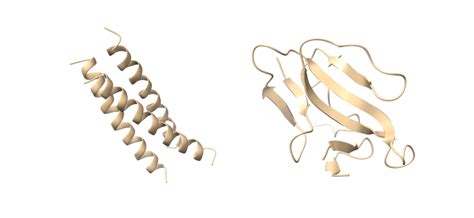 Two Folded Proteins Displaying Different Common Secondary Structure Download Scientific Diagram
