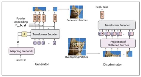 Github Siddhanthiyer 99gans Based On Compact Vision Transformers