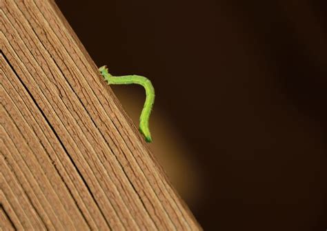 Perfectionism Vs Spiritual Progress How To Find Peace In Imperfection Meridian Magazine