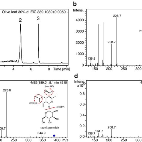 Esi Tof It Ms Spectra Of M Z 447 A Eic At M Z 447 0933 Obtained By Download Scientific Diagram