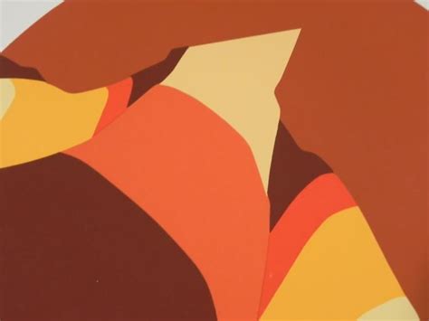 Doug Danz Signed Modern Southwest Print Proof Terra Iv