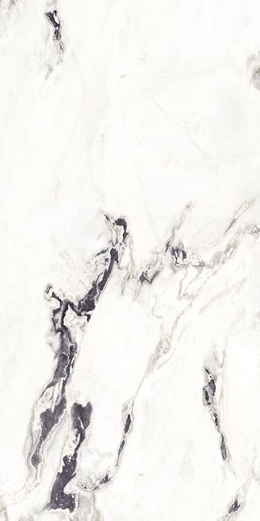 Calacatta 흰색 대리석 공급 업체 제조 업체 공장 도매 가격 Nabel