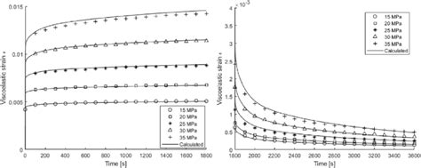 Strain Responses During Creep Relaxation Tests The Simulations Were Download Scientific