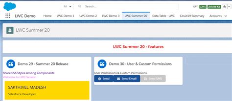 Summer 20 Checking User Permissions And Custom Permissions For