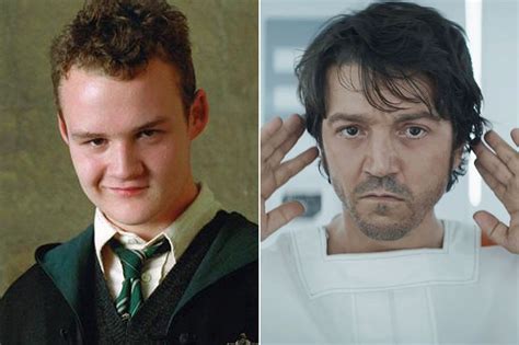 From Hogwarts To New Horizons The Thriving Journeys Of Harry Potter