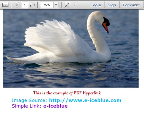 This Section Will Introduce A Solution To Add Two Types Of Hyperlinks