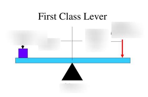Exam 2 Lecture 6 Biomechanics Diagram Quizlet