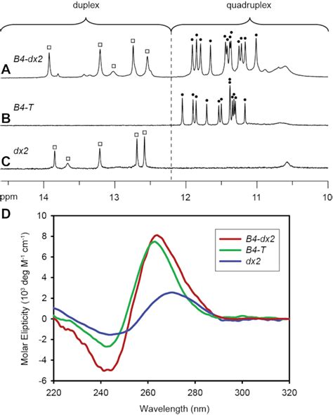Duplex Formation In A G Quadruplex Bulge Pmc