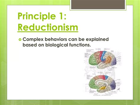 Biological Principles Pp Ppt