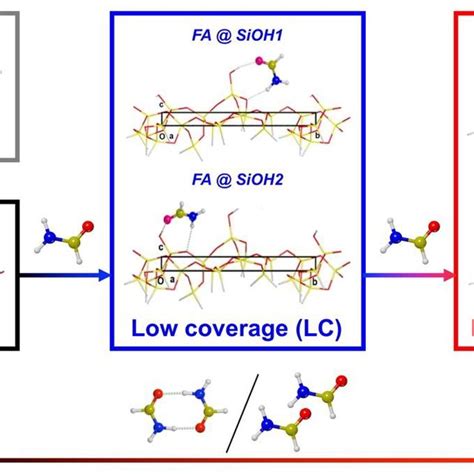 Side Views Of A Reference Sio 2 Model From 23 And A The Derived
