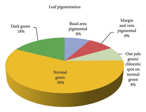 frequency distribution of twelve amaranth accessions for a branching