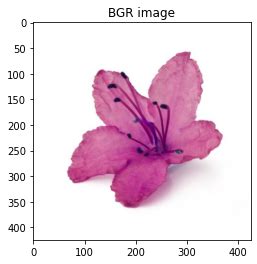 Intro To Opencv For Image Processing With Python Quassarian Viper