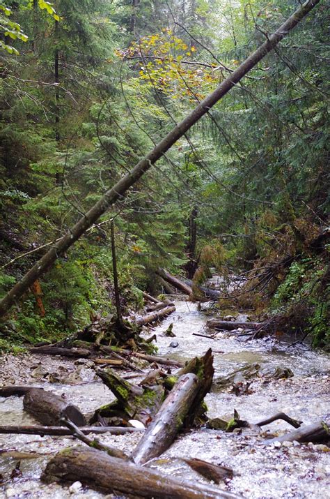 슬로바키아 Paradise 여행 관광 Pixabay의 무료 사진 Pixabay 슬로바키아 Paradise 여행 관광 Pixabay의 무료 사진 Pixabay