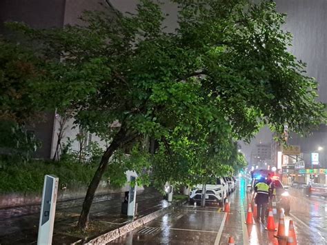 山陀兒挾狂風來襲！台南路樹傾倒 南警冒雨戒備通報處理