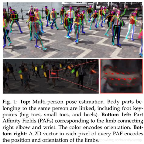 Openpose 论文理解openpose补点 Csdn博客